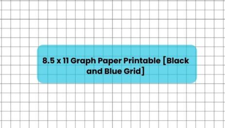 Free Printable Graph Paper [Online, PDF, Editable]